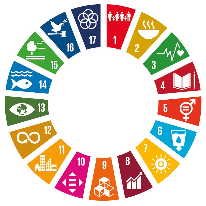 SDG scan with Sustainability Leadership Hub - Vrije Universiteit Amsterdam
