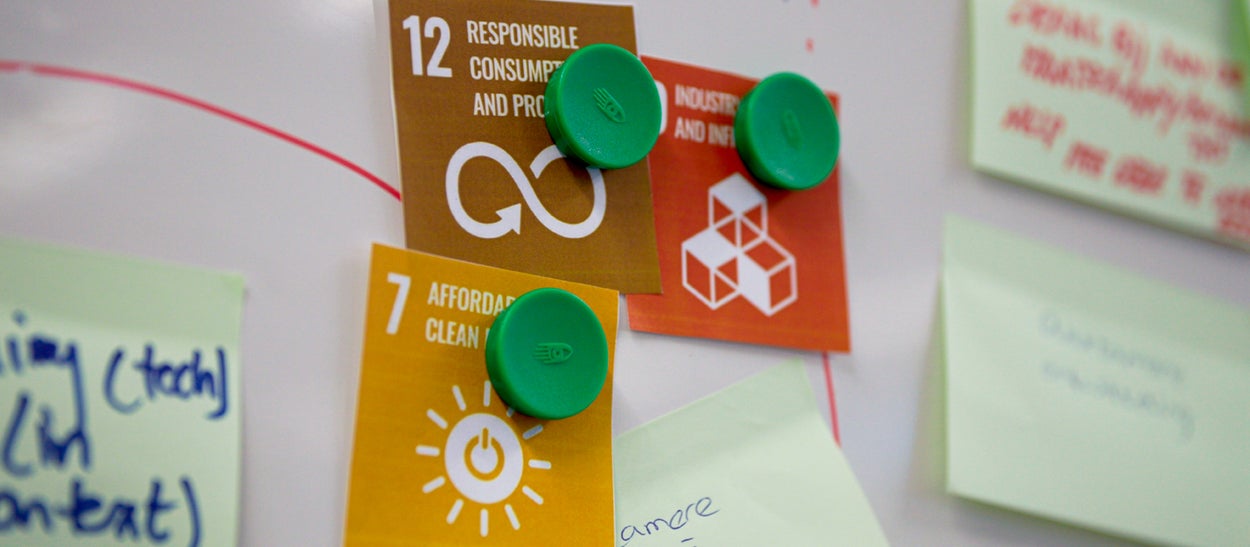 The SDGs in the VU research portal (Pure) - Vrije Universiteit Amsterdam