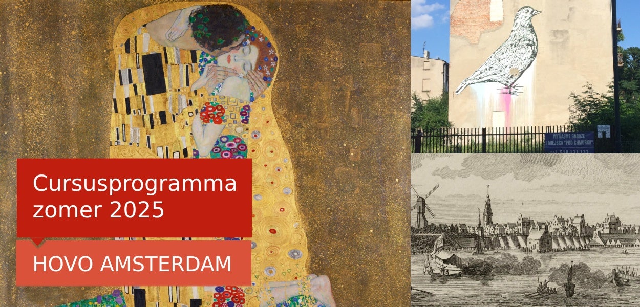 Ontdek het zomerprogramma van HOVO Amsterdam - Vrije Universiteit Amsterdam