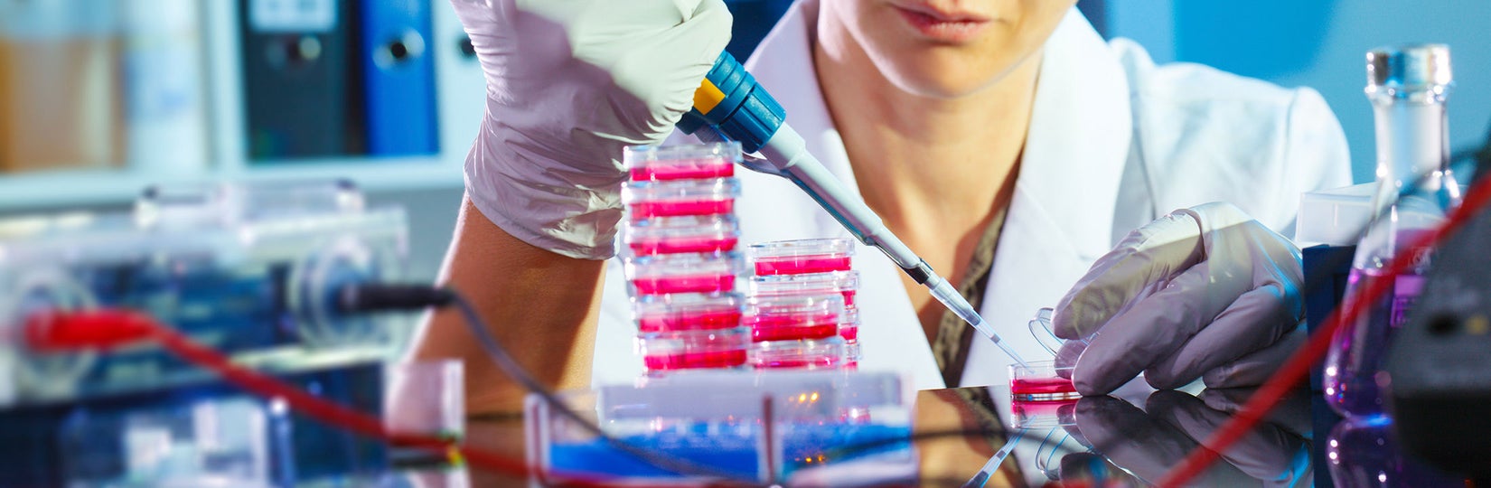 Master's Biomedical Sciences - Vrije Universiteit Amsterdam