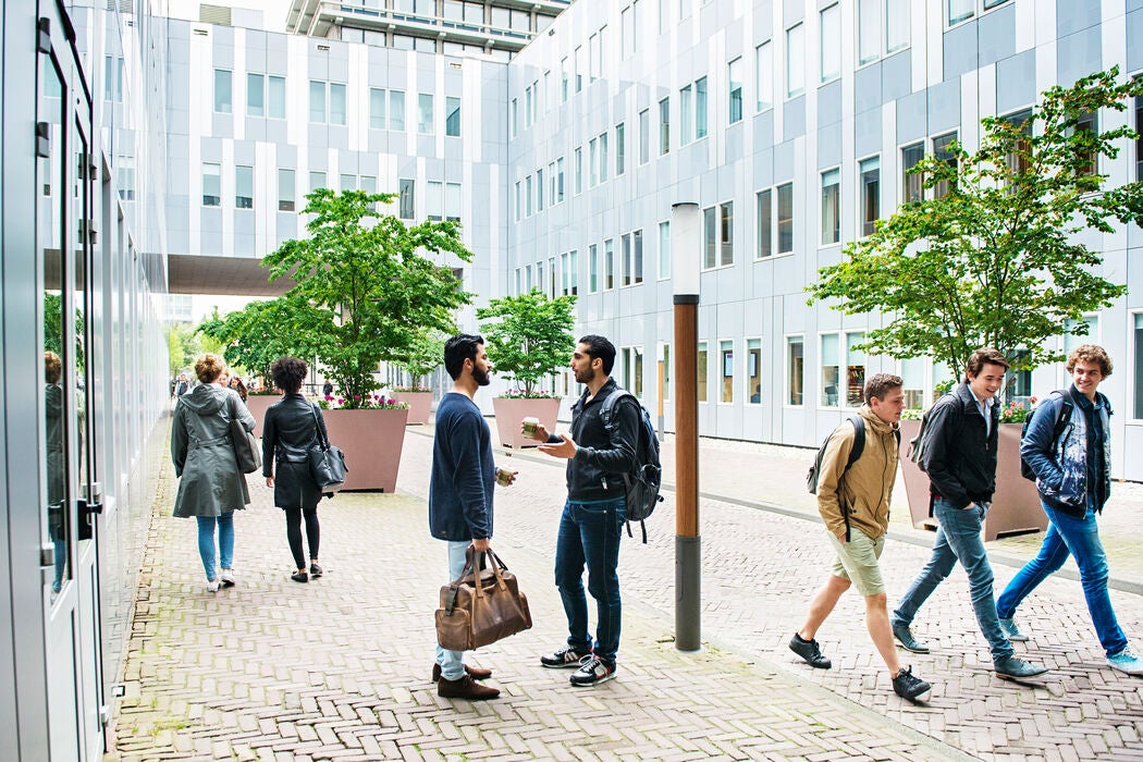 Met een hbo-propedeuse op zak, klaar voor de universiteit! - Meer over ...