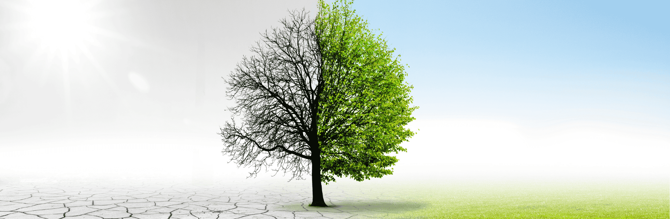 Governing Climate Change: Theory and Practice - Vrije Universiteit ...