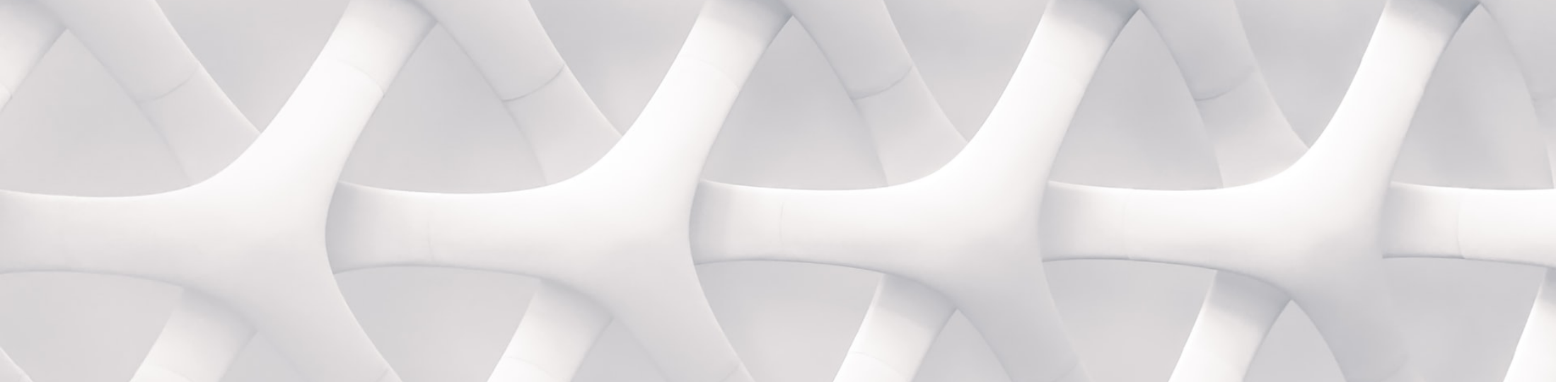 Applied Topology Day - Vrije Universiteit Amsterdam