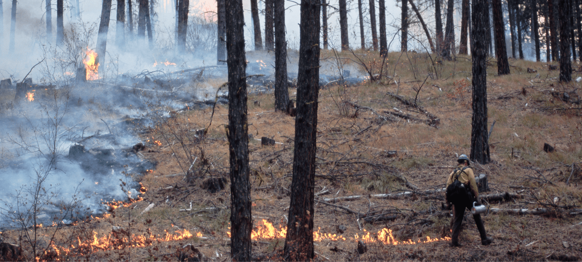 Dream Team Burning Lowlands - Vrije Universiteit Amsterdam