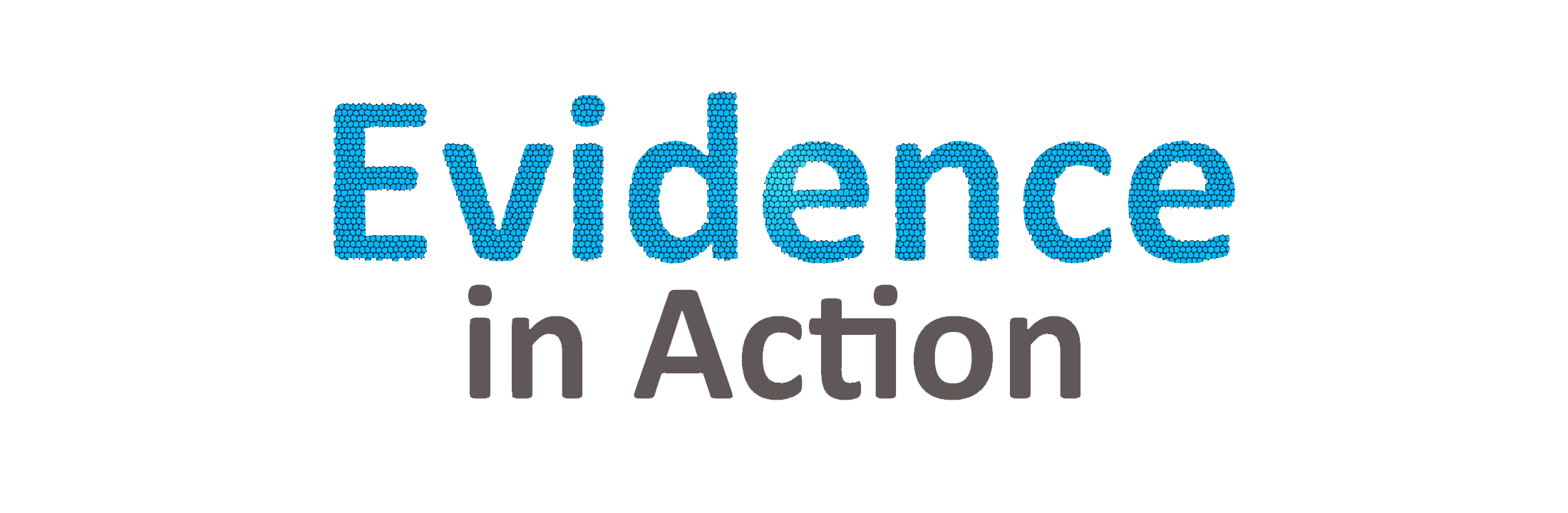 Evidence in Action: dynamic standardisation of experience-based ...
