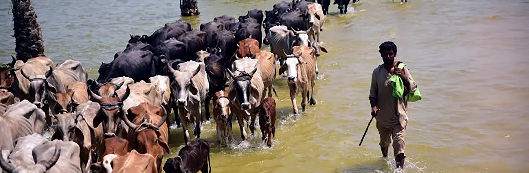 Climate Change, Migration and Social Control VU Graduate Winter School ...