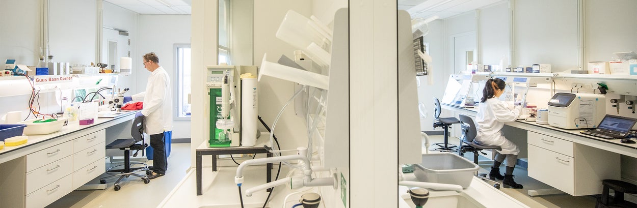 Ready for the future with the new VU Research Strategy - Vrije ...