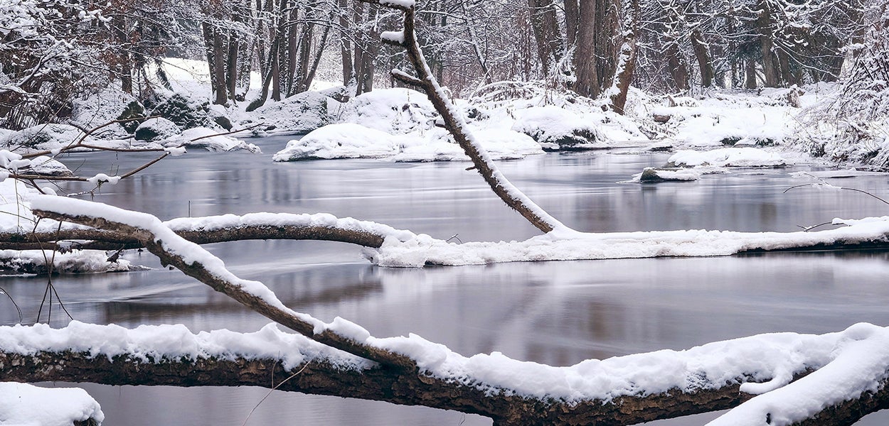 Special winter edition BREAKOUT: (re)design education in nature - Vrije ...