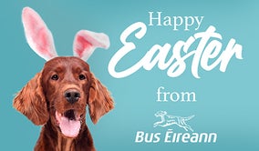 Bus Éireann: Ireland's most extensive national bus service