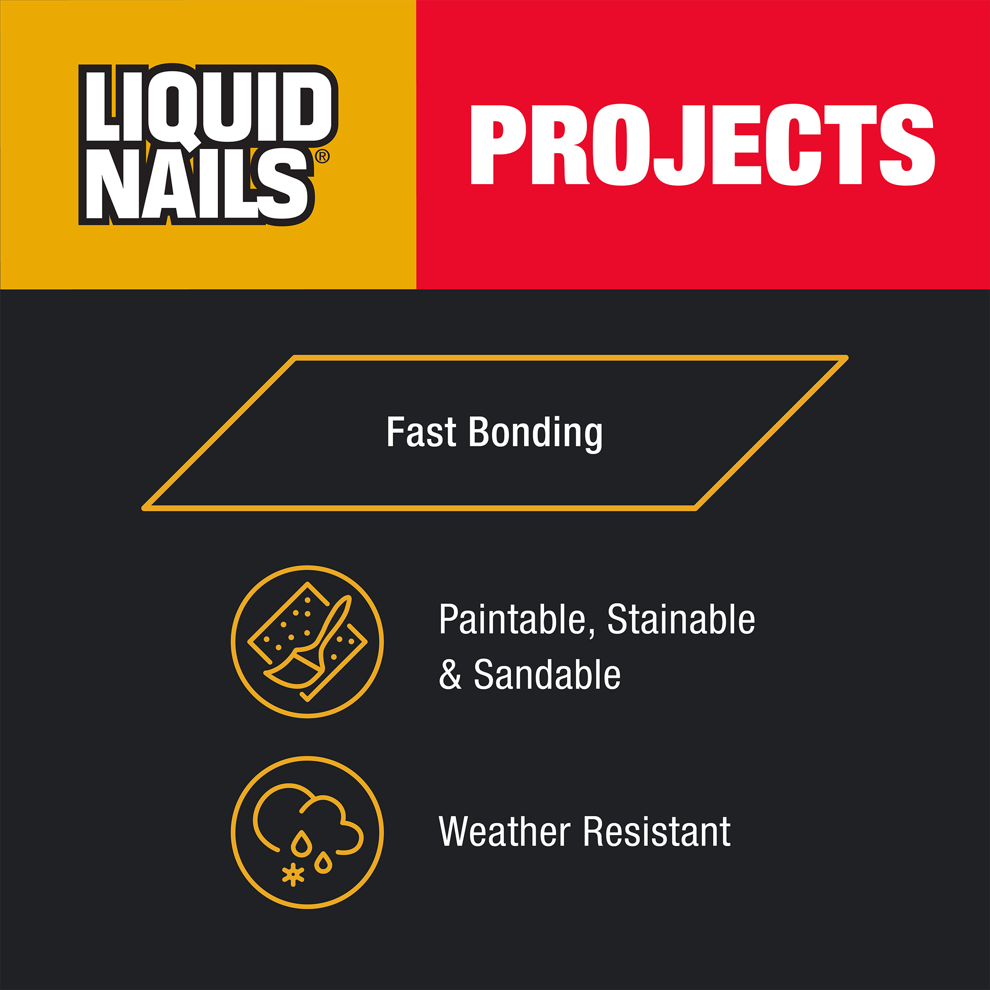 LIQUID NAILS Projects Interior & Exterior Multi-Purpose Repair Adhesive