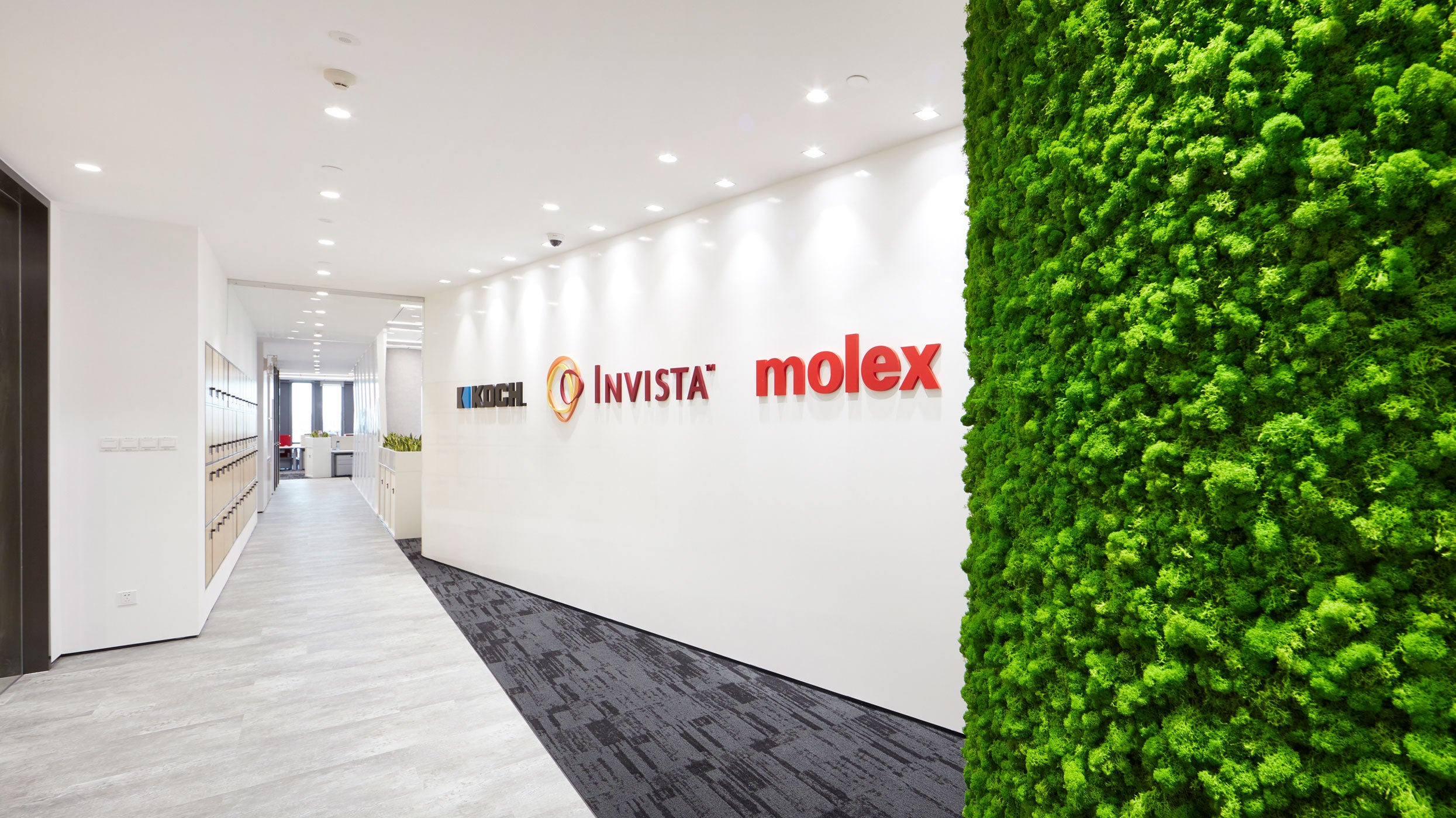 加入我们的团队