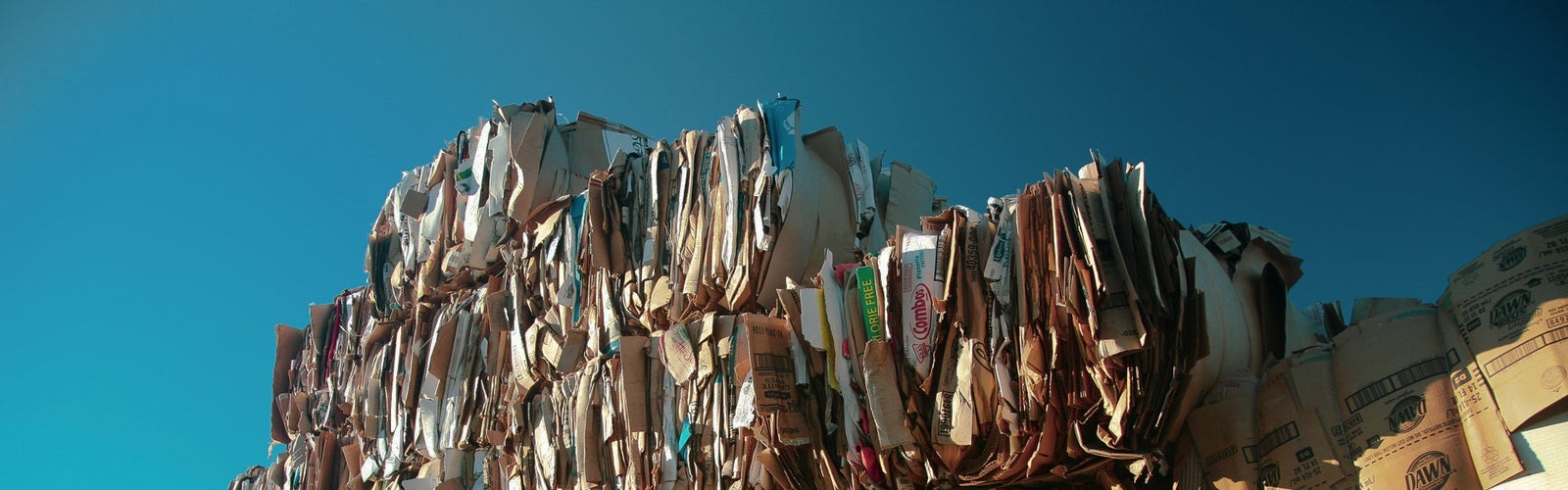GP Harmon is now Georgia-Pacific Recycling! | Georgia-Pacific News