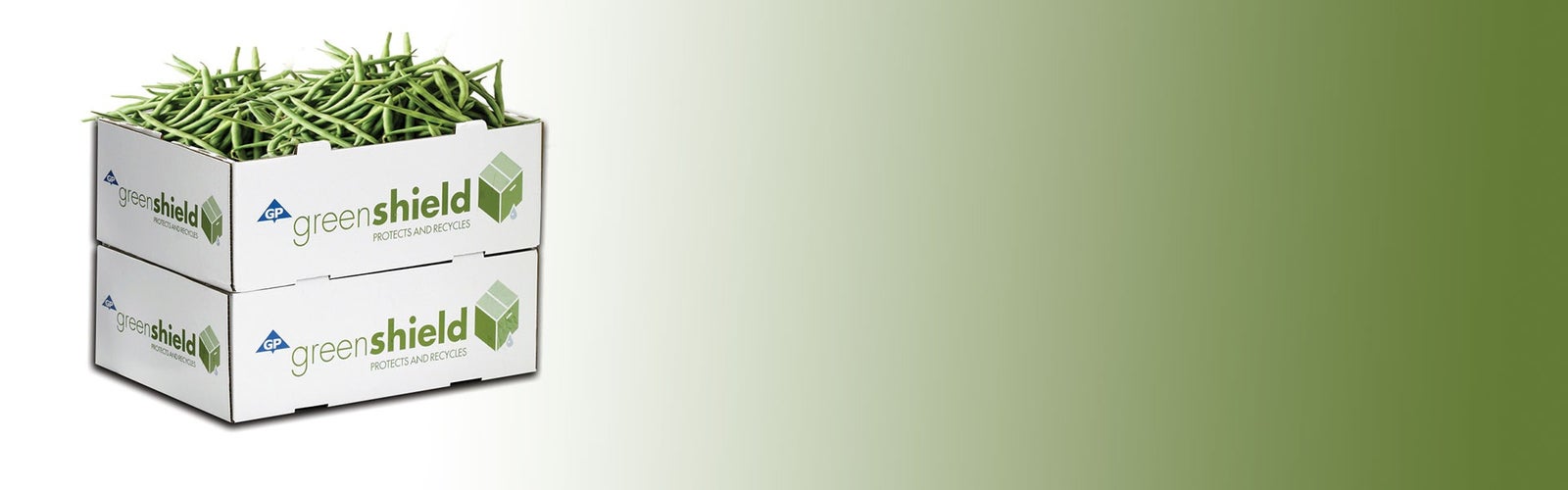 We Built a Better Box for a Cleaner Planet | Georgia-Pacific News