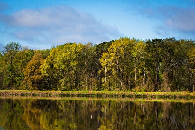 Environment | Georgia-Pacific News