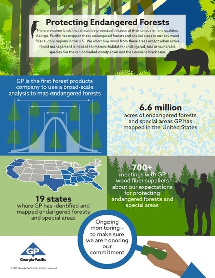 GP Dedicates Almost a Decade to Endangered Forest Mapping | Georgia ...