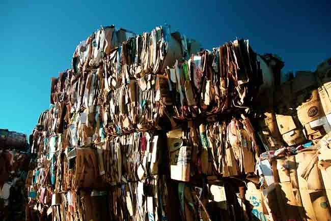GP Harmon is now Georgia-Pacific Recycling! | Georgia-Pacific News