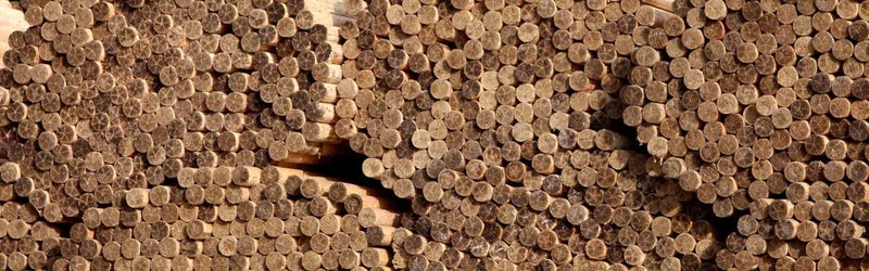 Rome Lumber Facility Investing $30 Million To Improve Efficiency And ...