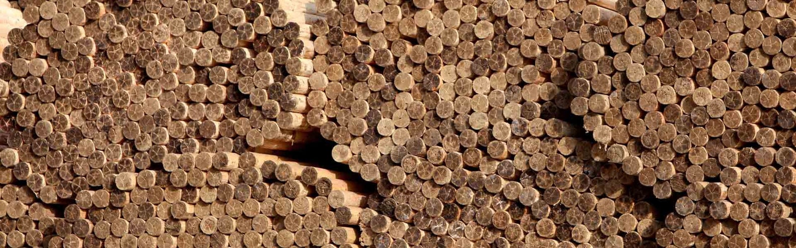 Rome Lumber Facility Investing $30 Million To Improve Efficiency And ...