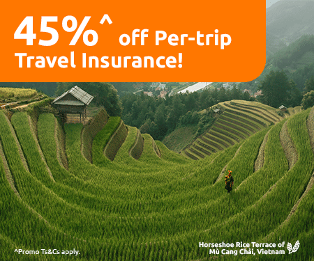 Travel Insurance Promotion | Income Insurance