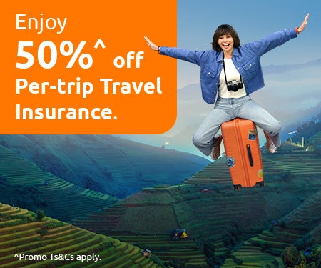 Travel Insurance Promotion | Income Insurance