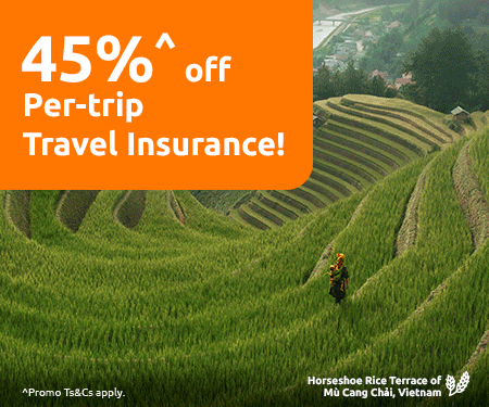 Travel Insurance Promotion | Income Insurance