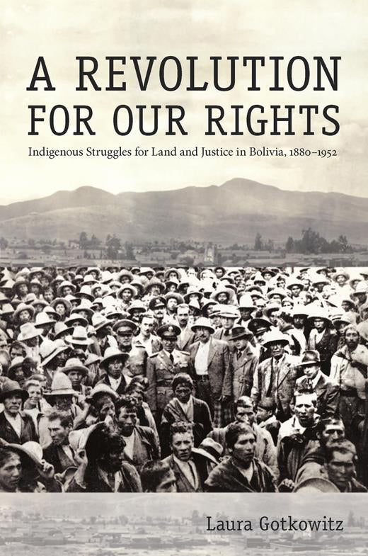 A Revolution for Our Rights: Indigenous Struggles for Land and Justice ...