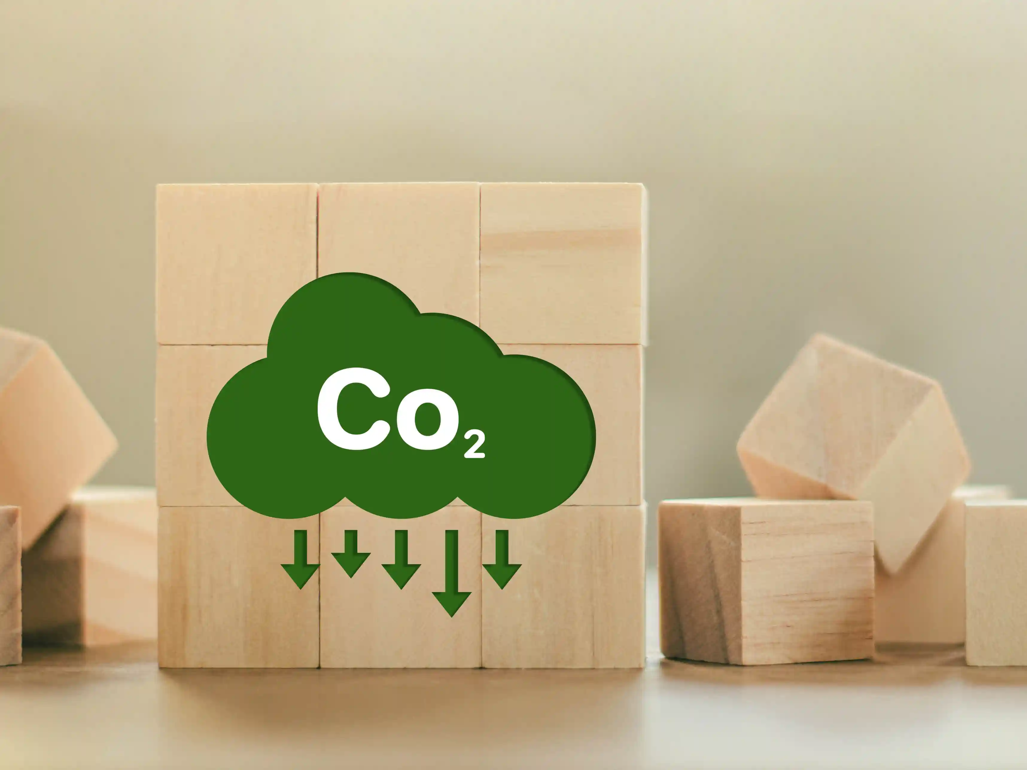 Deanuda say hi to Kira, a long-legged, vivacious natural