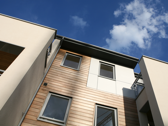 Director ordered to pay $1.1 million in damages for company’s use of ...