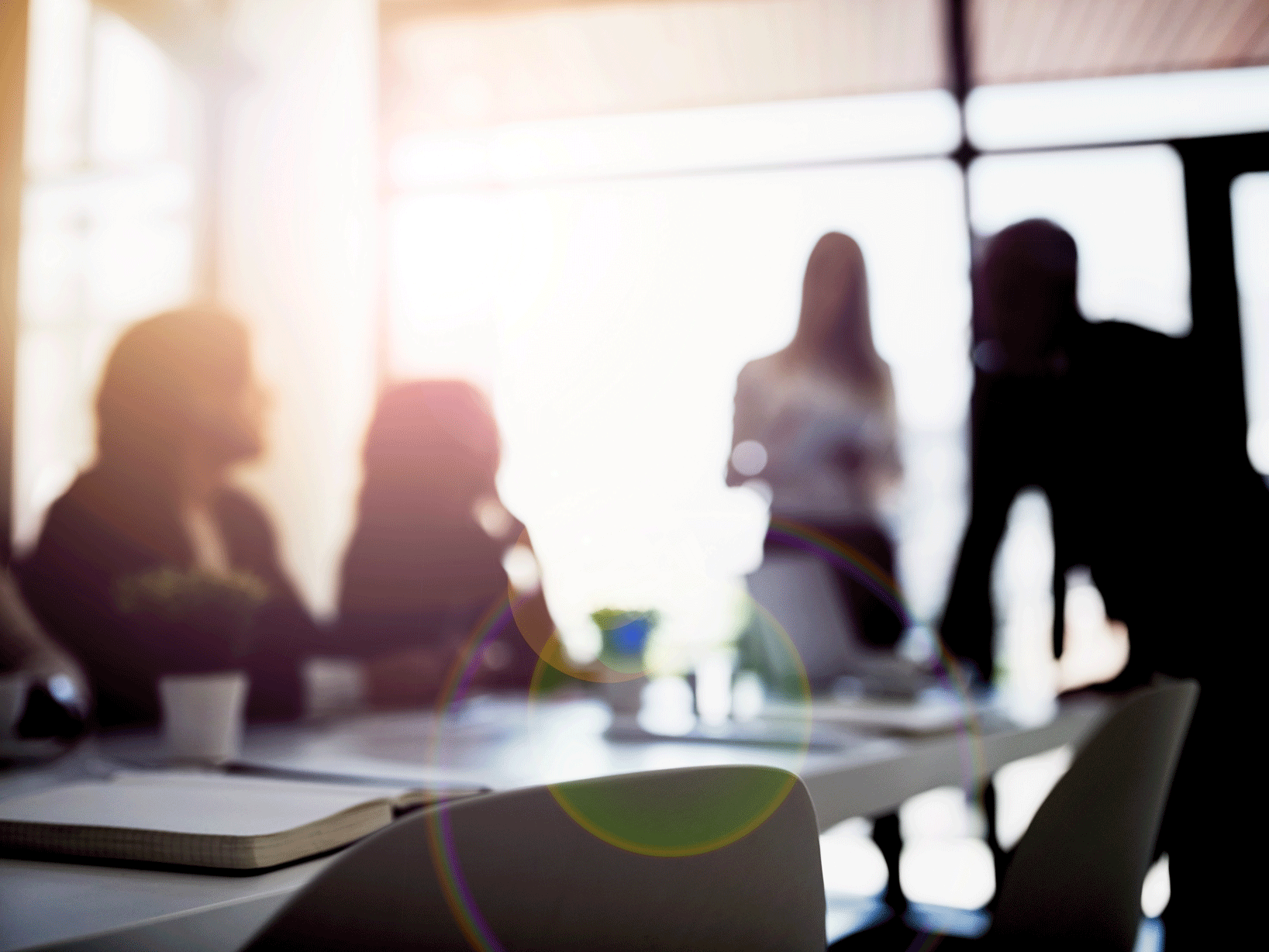 Oppressive conduct claims in the Supreme Court of Victoria: A guide for ...